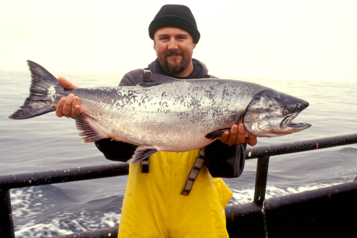 Island anglers reel in concerns at Town Hall aimed to combat salmon ...
