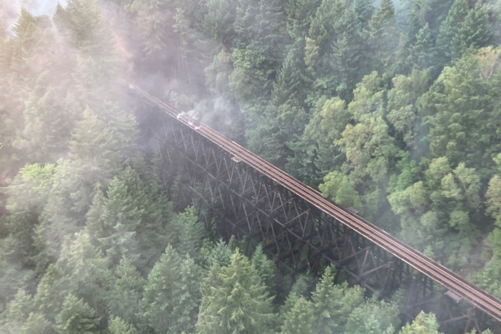 ‘A real setback’: Island Corridor Foundation to assess trestle fire ...